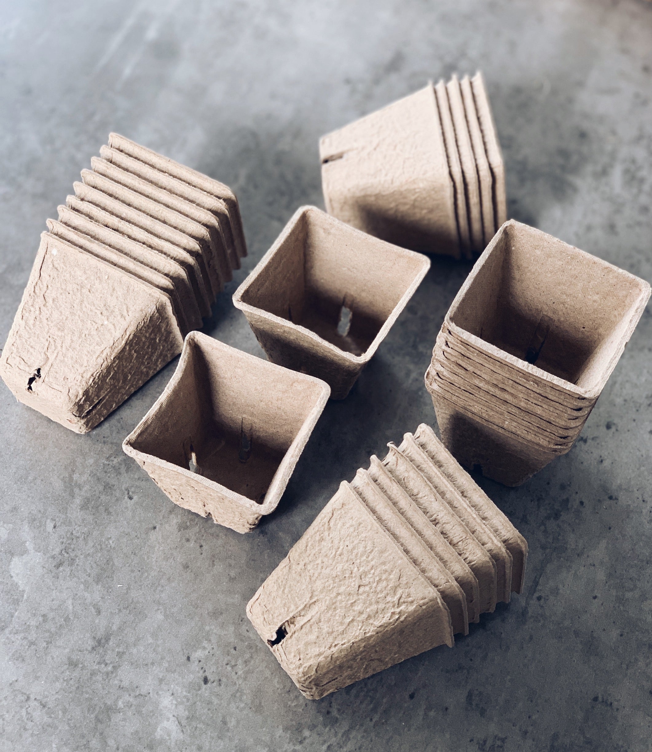 Square Peat Pots 30pk – Urban Veggie Patch Market