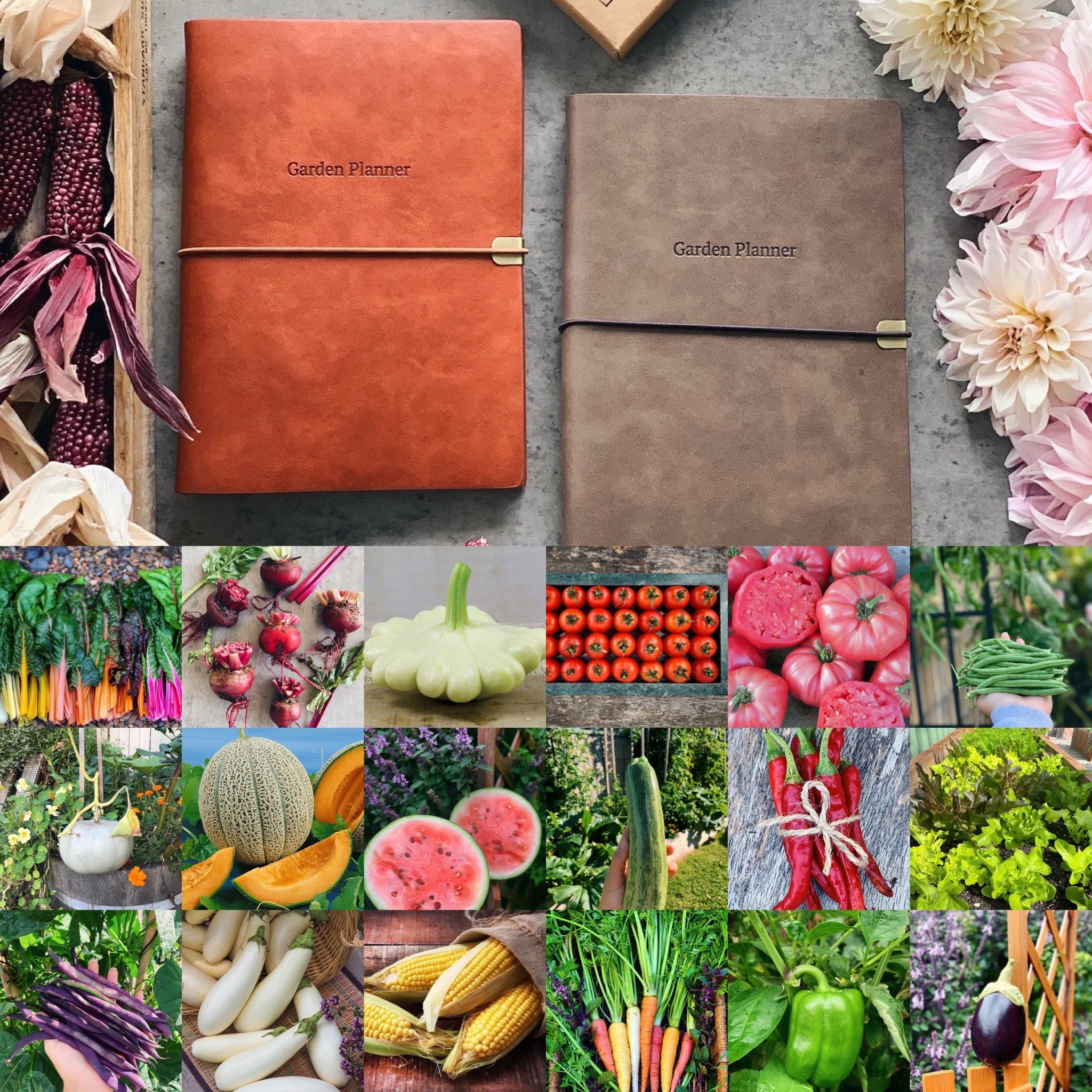Ultimate Veggie Bundle 20 Pack + Planner – Urban Veggie Patch Market