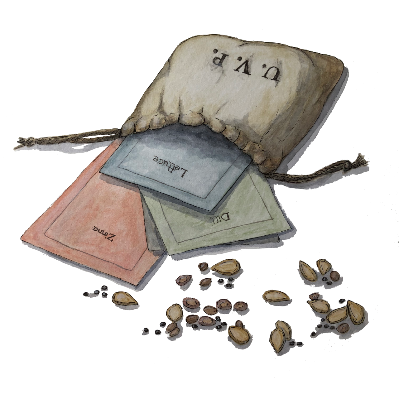 Ultimate Preppers Bundle 50 Pack – Urban Veggie Patch Market